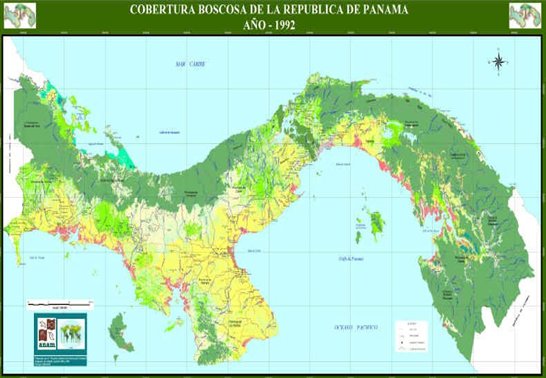 Los bosques de Panamá | Webscolar